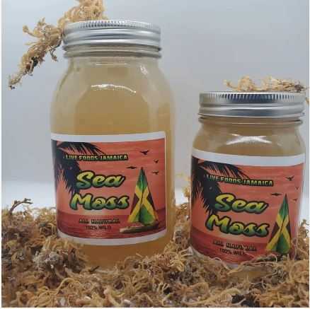 Sea Moss - Natures Newest Superfood - Jamaica Sea Moss